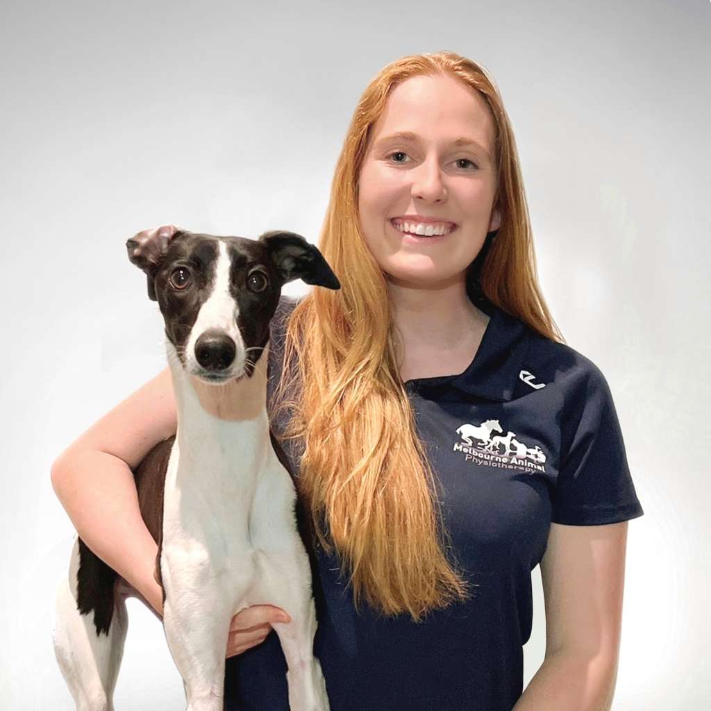 Melbourne Animal Physiotherapy – Melbourne Animal Physiotherapy caring ...