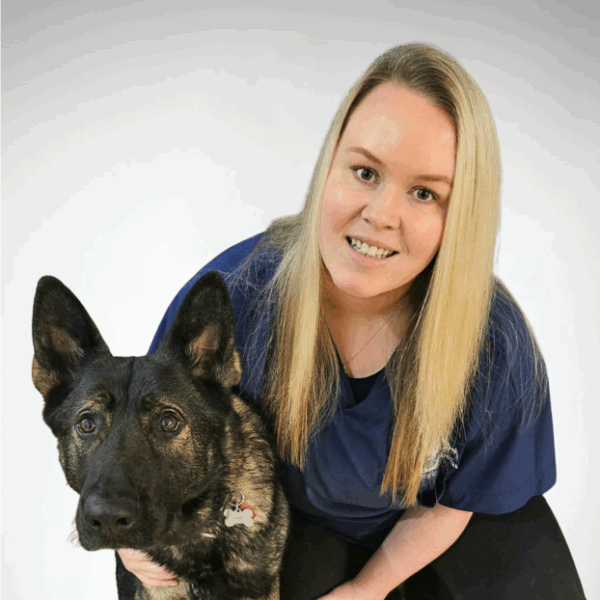 Melbourne Animal Physiotherapy – Melbourne Animal Physiotherapy caring ...